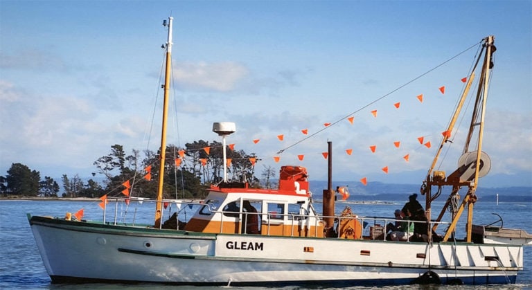 Gleam Team - Guard Safety