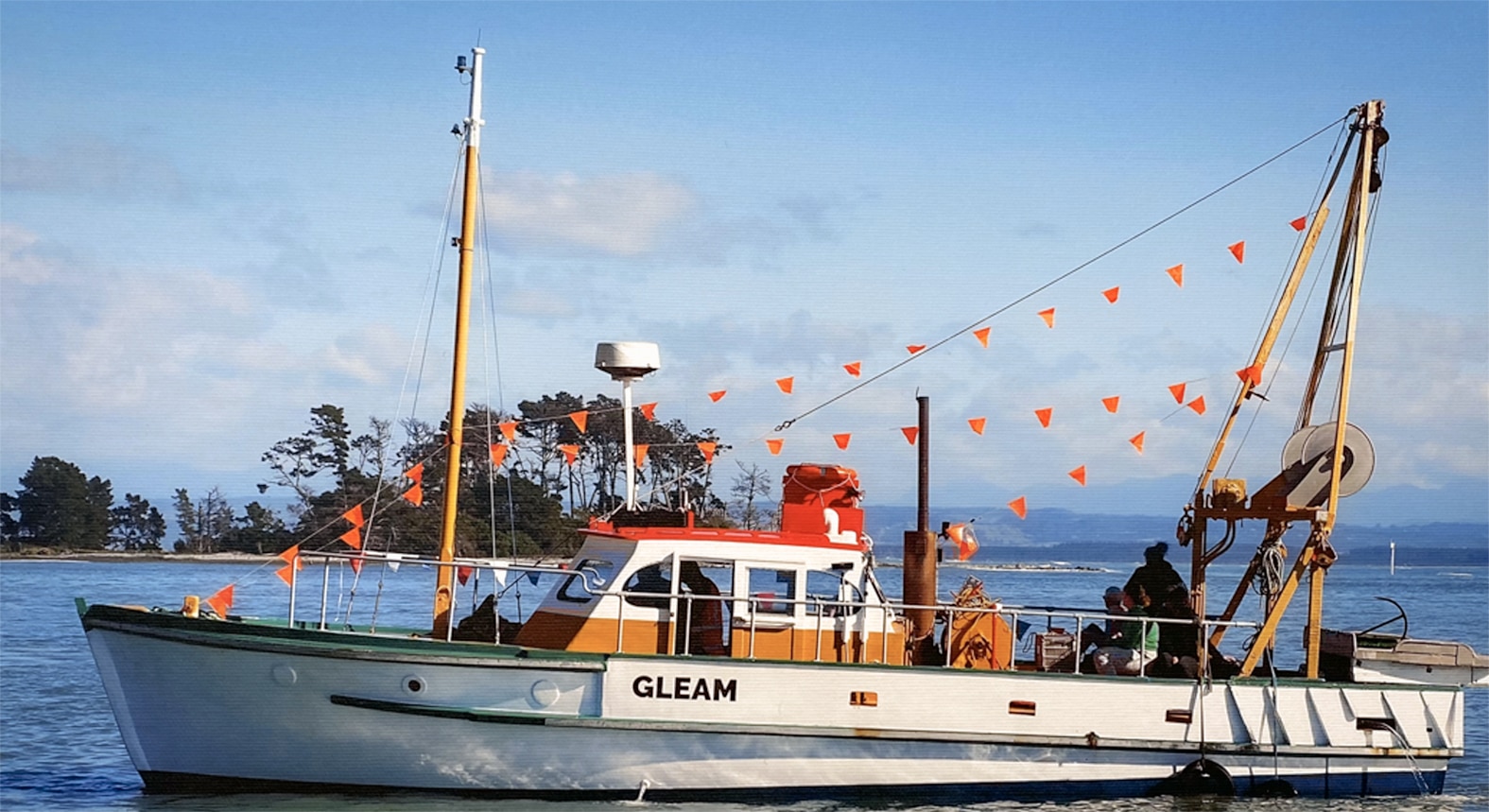 Gleam Team - Guard Safety